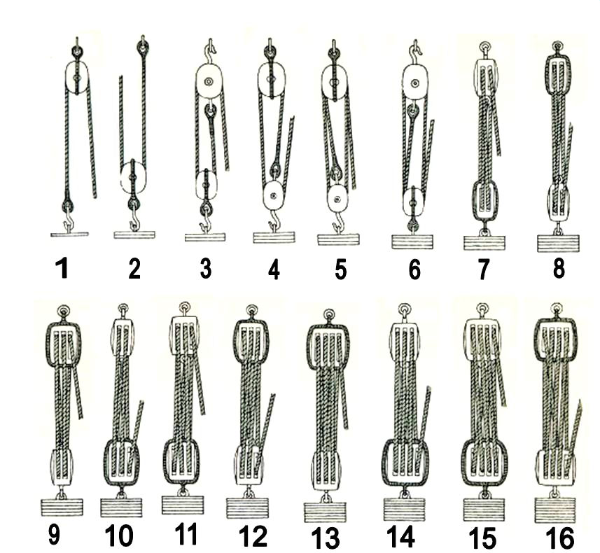 Bozzelli e Paranchi – A.N.V.O.